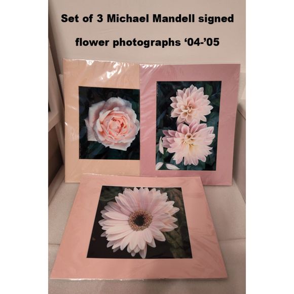 Art | Set Of 3 Signed Michael Mandell Photographs Flowers | Poshmark